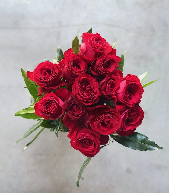 12 long Stem Roses - bittersweet Floral Studio | Sea Point | Cape Town ...